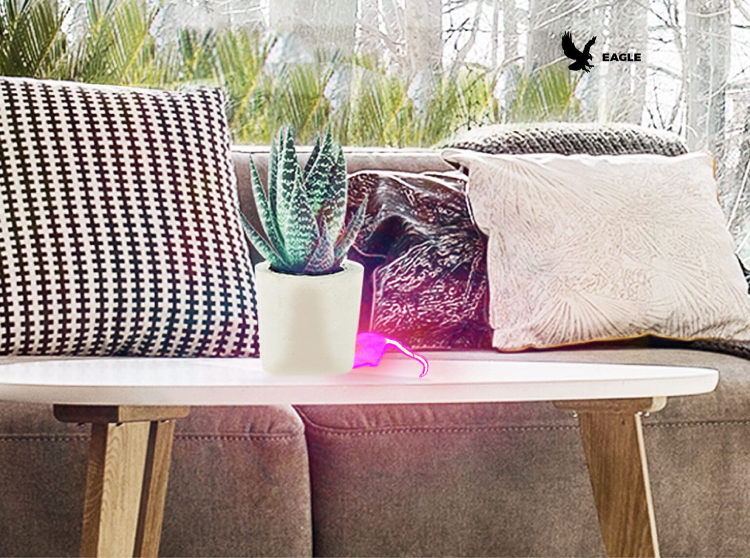 How Animals See | MyVision.org