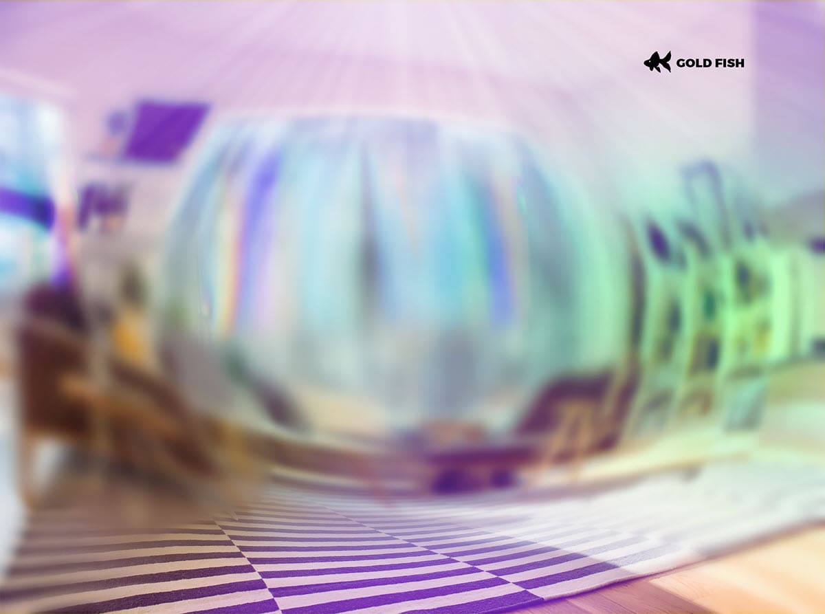 How Animals See | MyVision.org