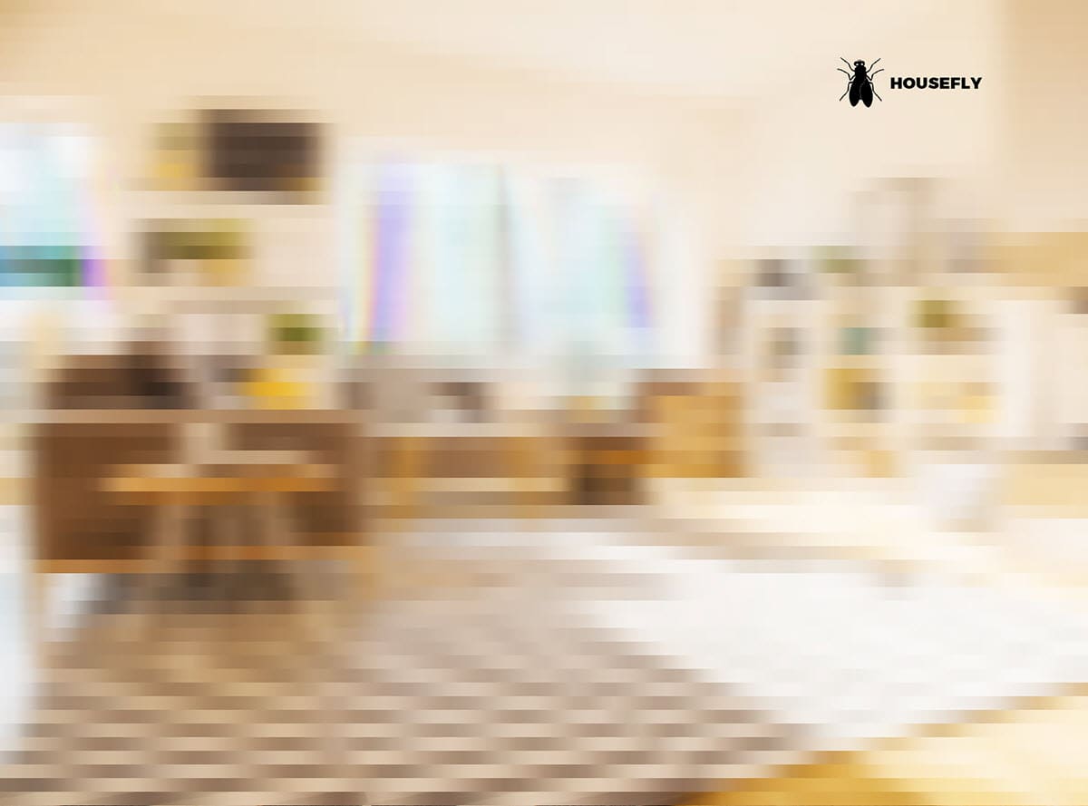 How Animals See | MyVision.org