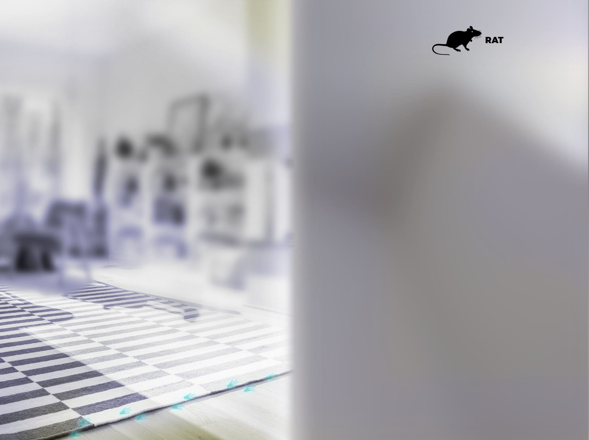 How Animals See | MyVision.org