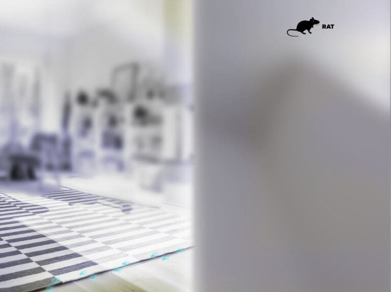 How Animals See | MyVision.org