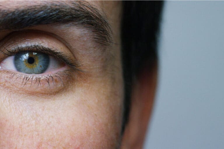 How the Eyes Work: Anatomy, Vision and More | MyVision.org