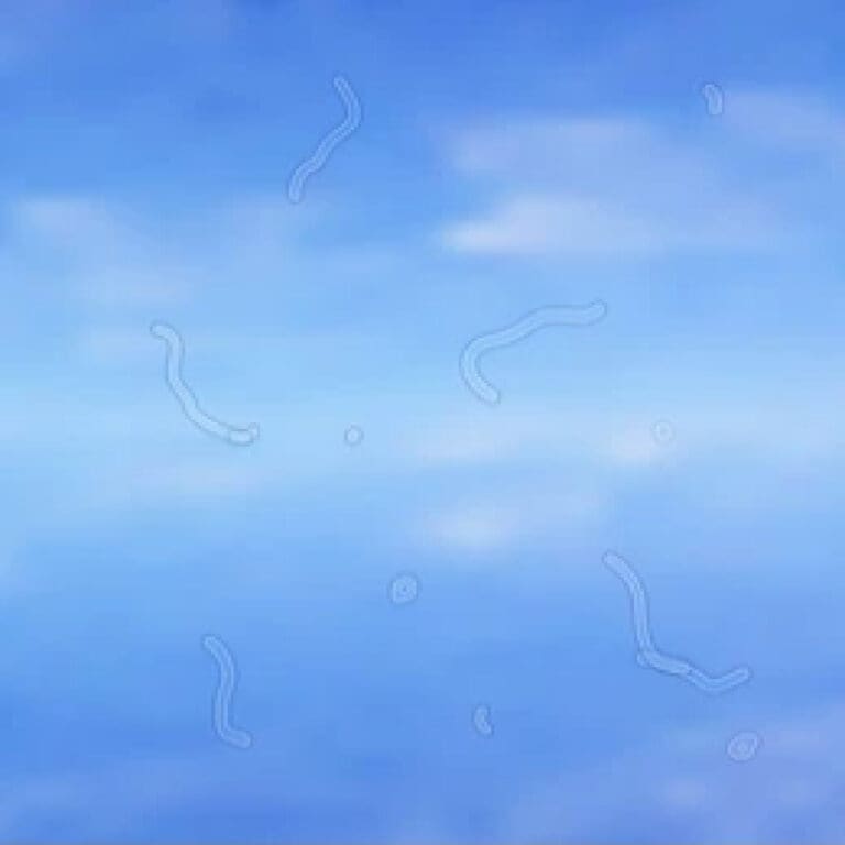 Eye Conditions & Diseases: What You Need to Know | MyVision.org